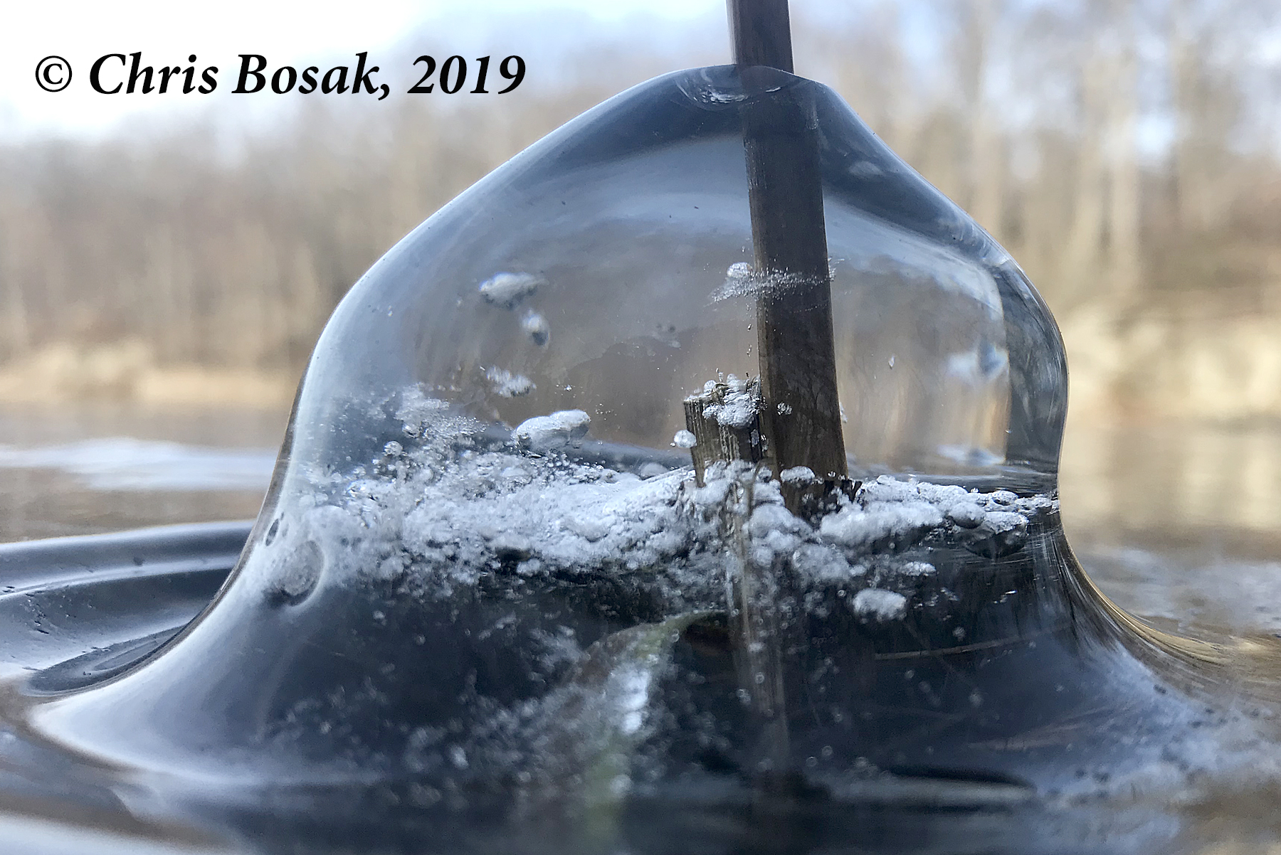 Appreciating ice: Walking on a frozen pond | Birds of New England.com